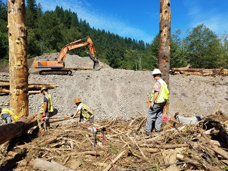 Biohabitats » Perspectives on Engineered Log Jams