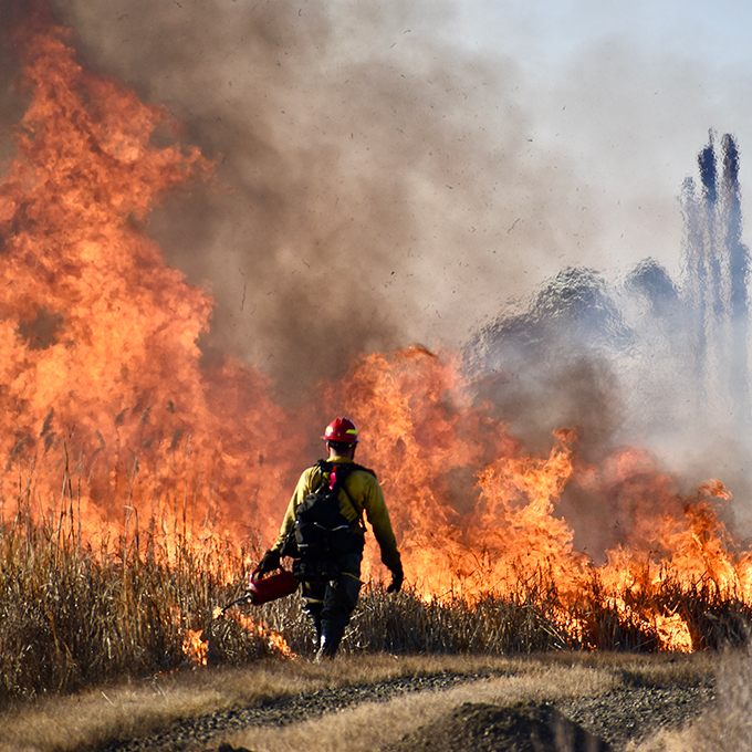 Fire on the Landscape - Biohabitats