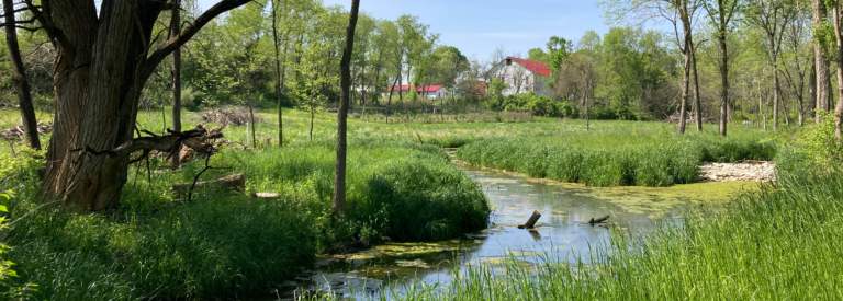 Our Locations - Biohabitats