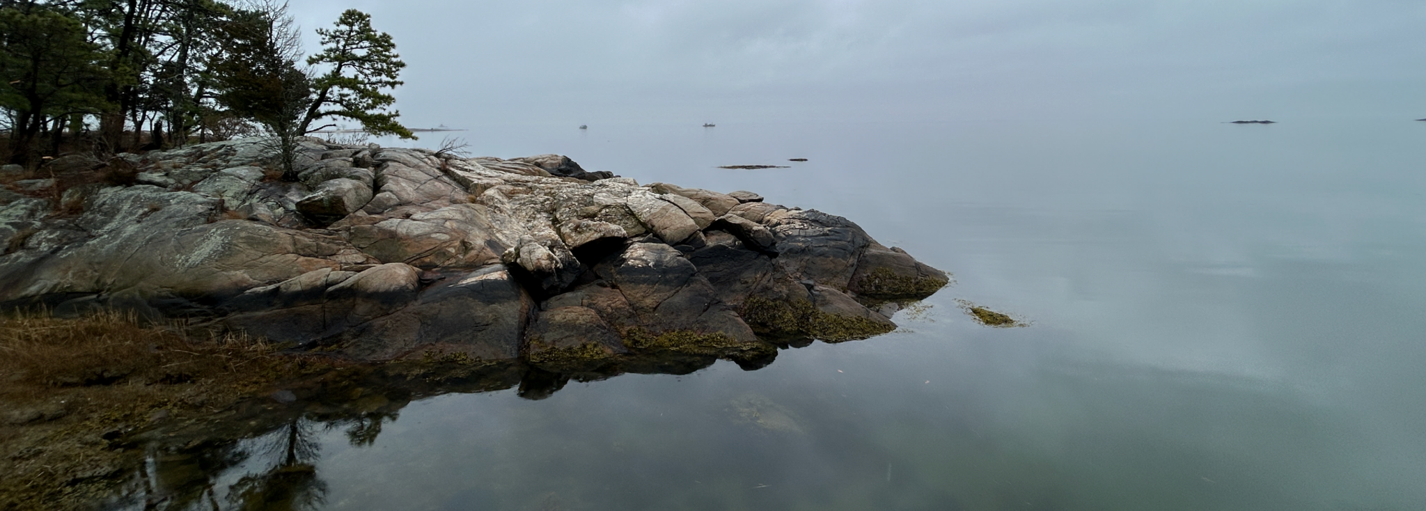 Our Locations - Biohabitats