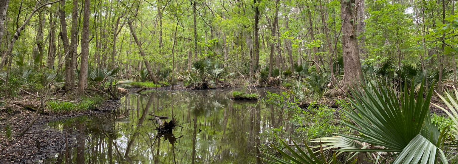 Our Locations - Biohabitats