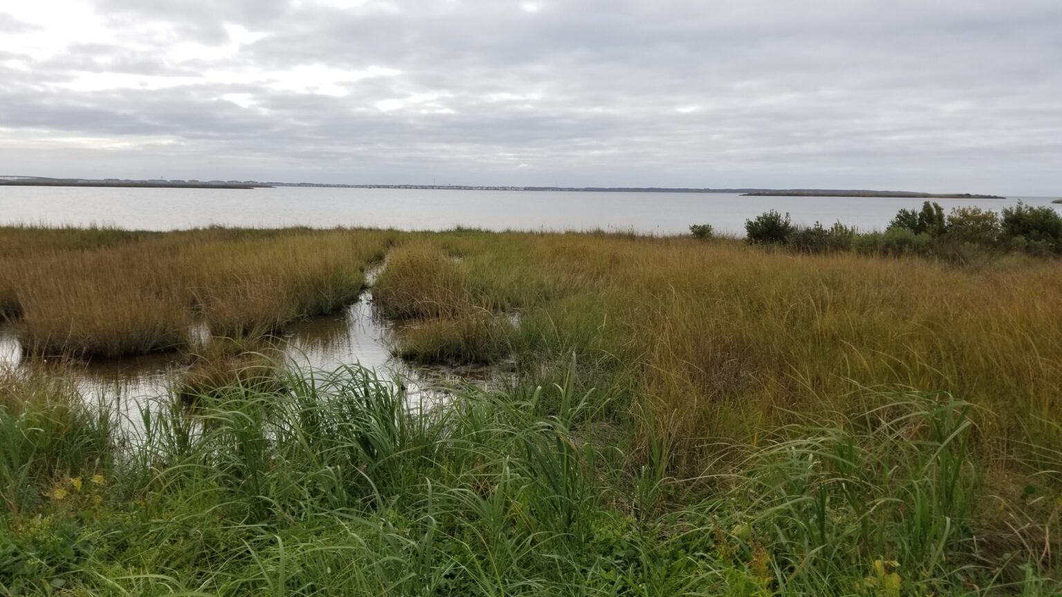 Conservation - Biohabitats