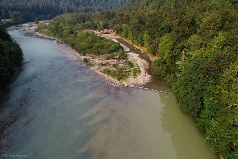 Biohabitats » Perspectives on Engineered Log Jams