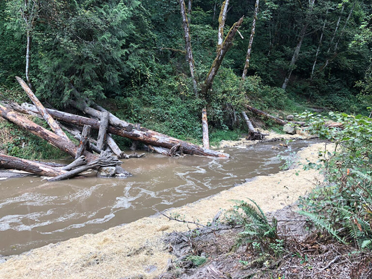 Biohabitats » Perspectives on Engineered Log Jams