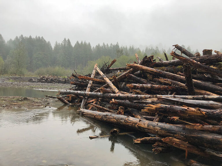 Biohabitats » Perspectives on Engineered Log Jams