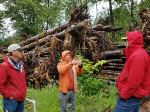 Biohabitats » Perspectives on Engineered Log Jams