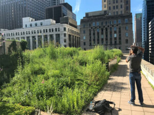 Biohabitats » Chicago: Ecology in Urban Planning at the Regional Scale