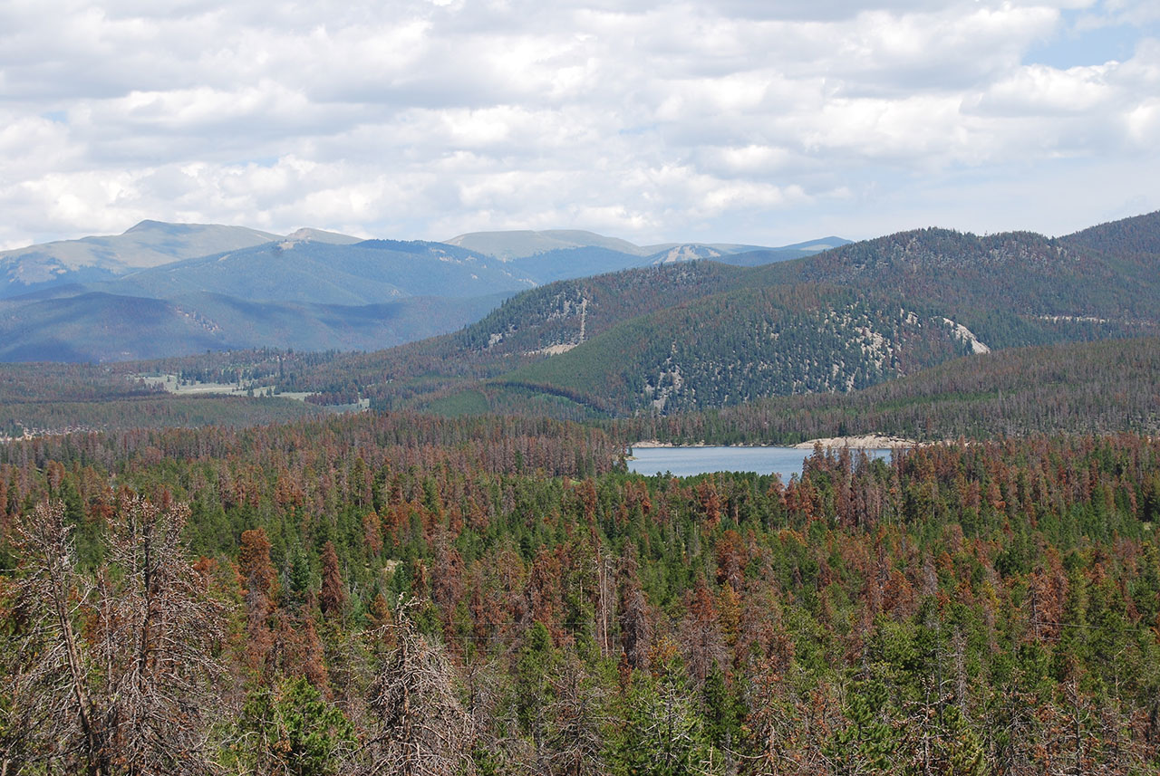 Biohabitats » Southern Rocky Mountain Bioregion