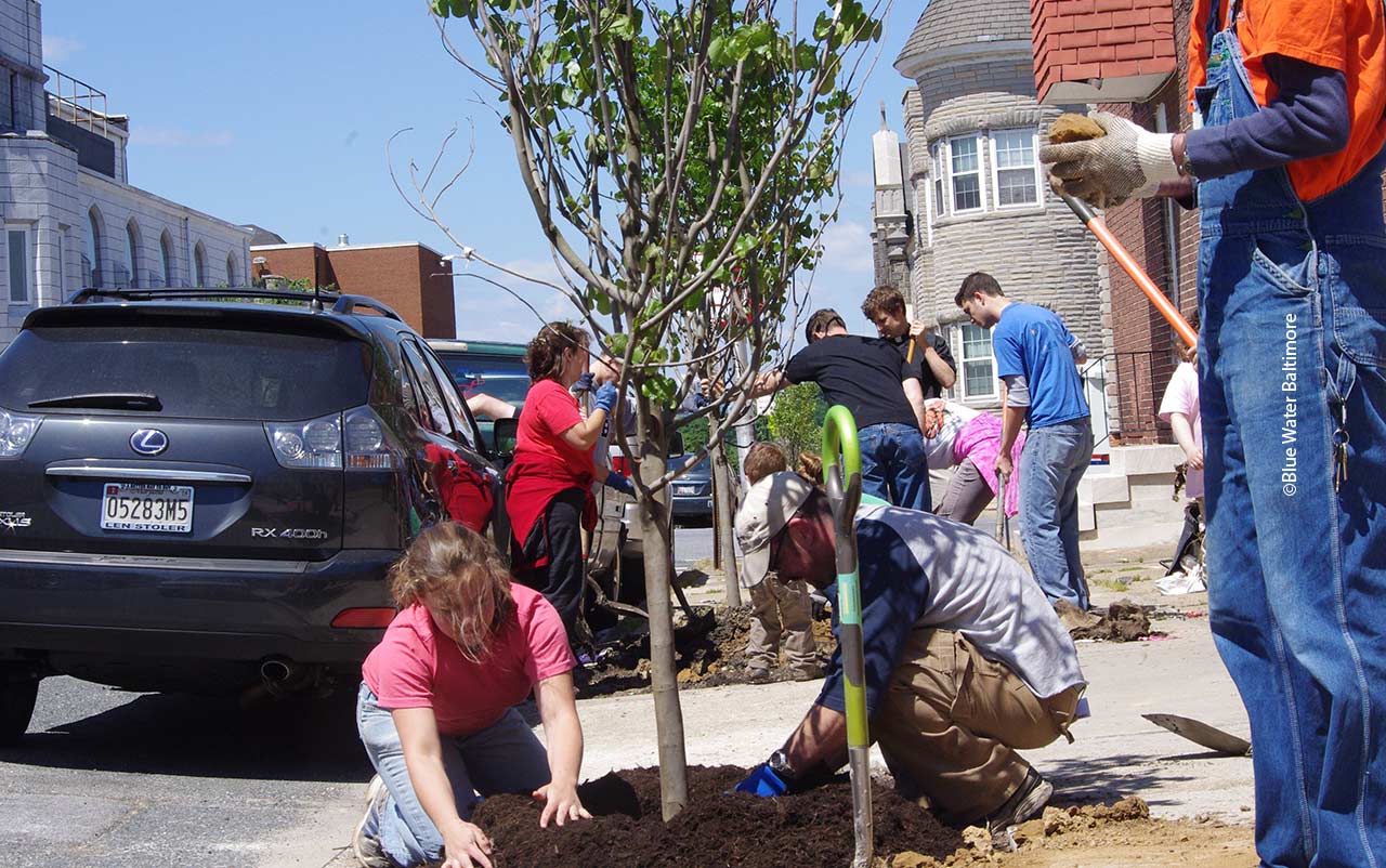 Biohabitats » Expert Q&A: David Nowak, U.S. Forest Service