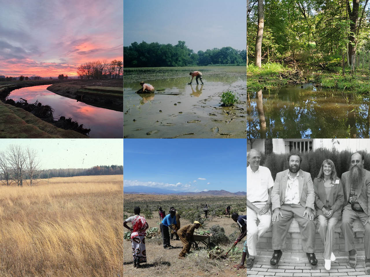 Biohabitats » Ecological Restoration: Where it has Been and Where it is ...