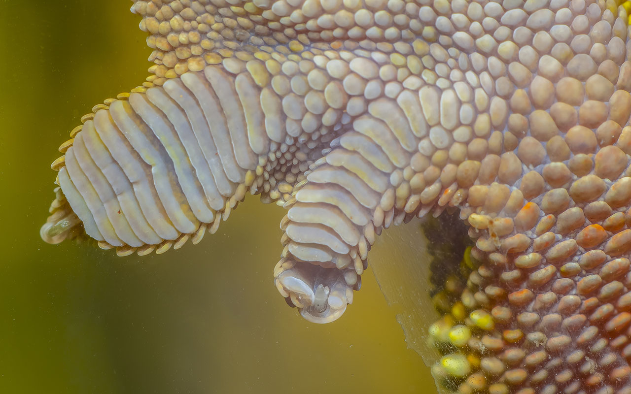 Biohabitats » Biomimicry & Ecological Engineering