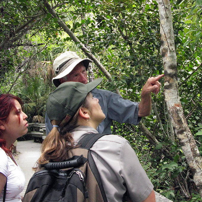 Biohabitats » Leaf Litter with Stephen Woodley