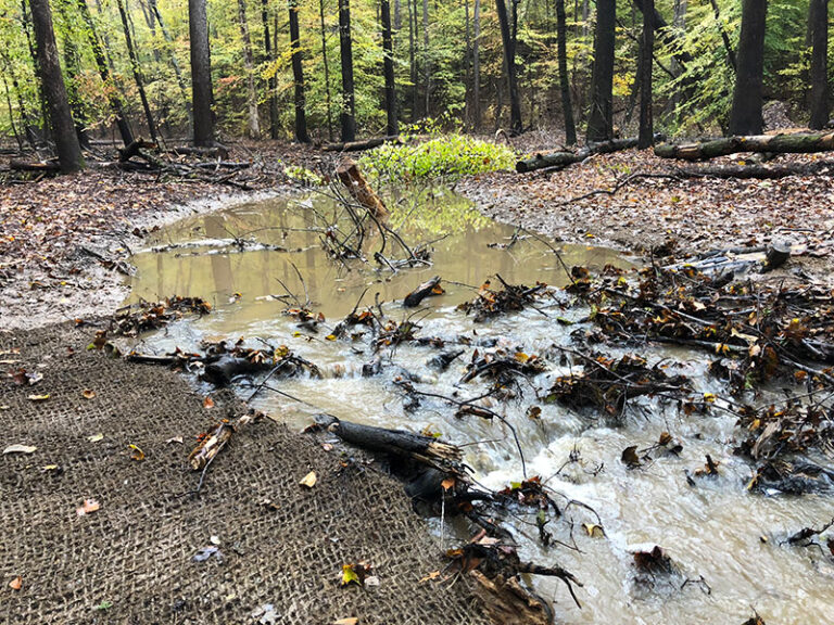 Biohabitats » Wood Rocks in Maryland Stream Restoration