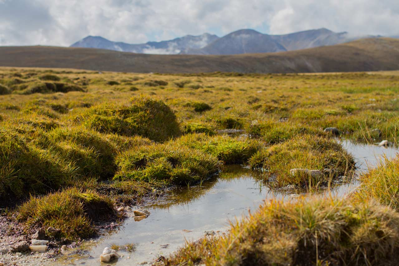 Biohabitats » Non-Profit Spotlight: Yorkshire Peat Partnership
