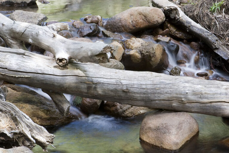 Biohabitats » Wood as a Tool in Stream and River Restoration