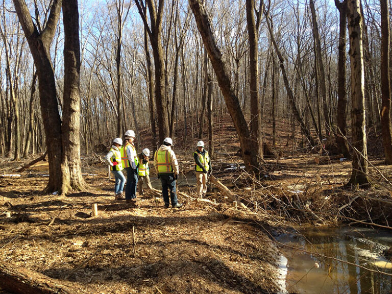 Biohabitats » Wood Rocks in Maryland Stream Restoration